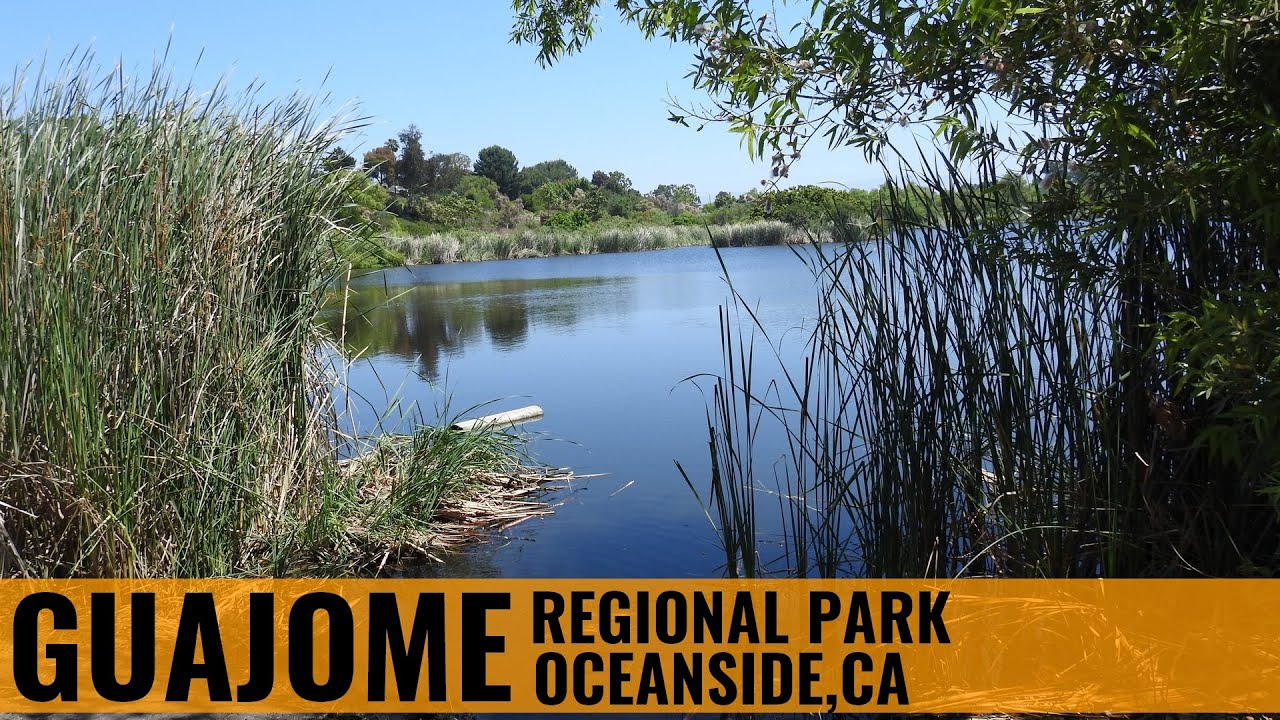Camping at Guajome Regional Park Oceanside Ca - YouTube