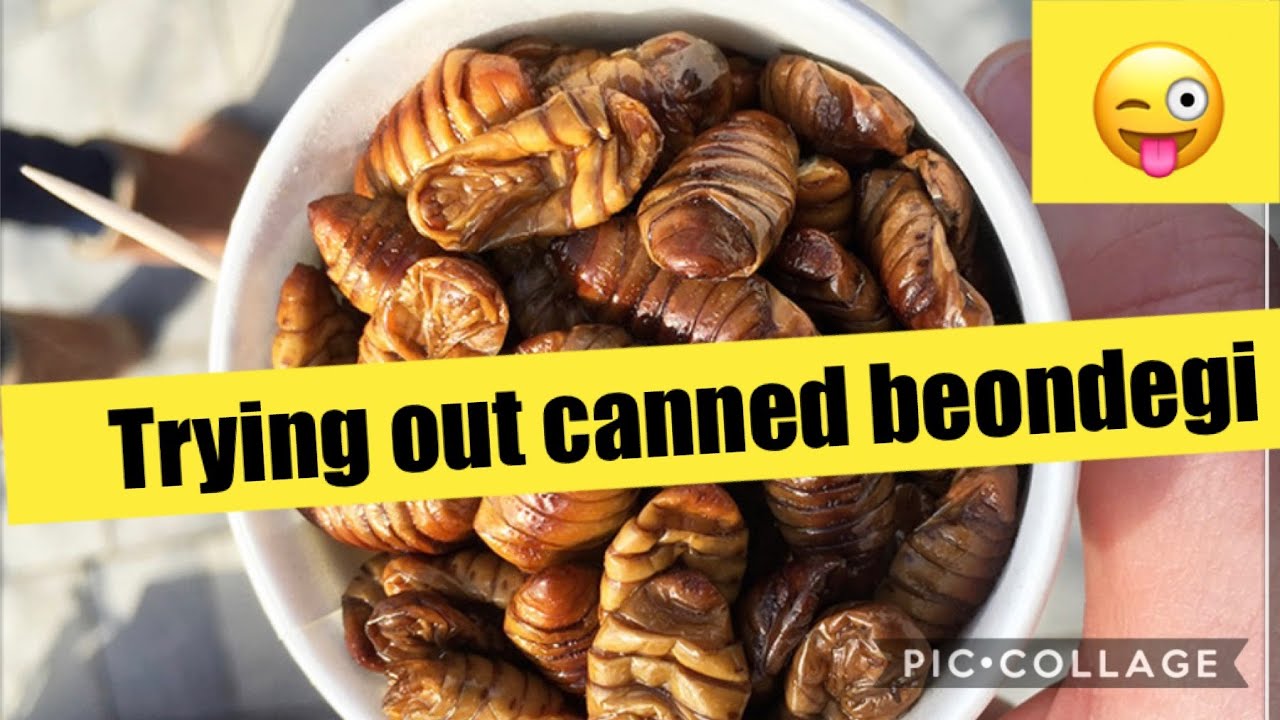Try Canned Silkworm Pupae/Beondegi /번데기 !For Snack, SOuth Korean ...