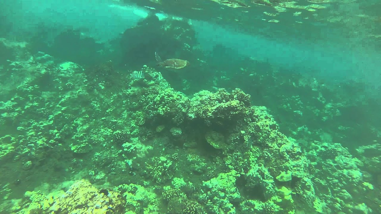 Chloe's Underwater Talk Show - YouTube