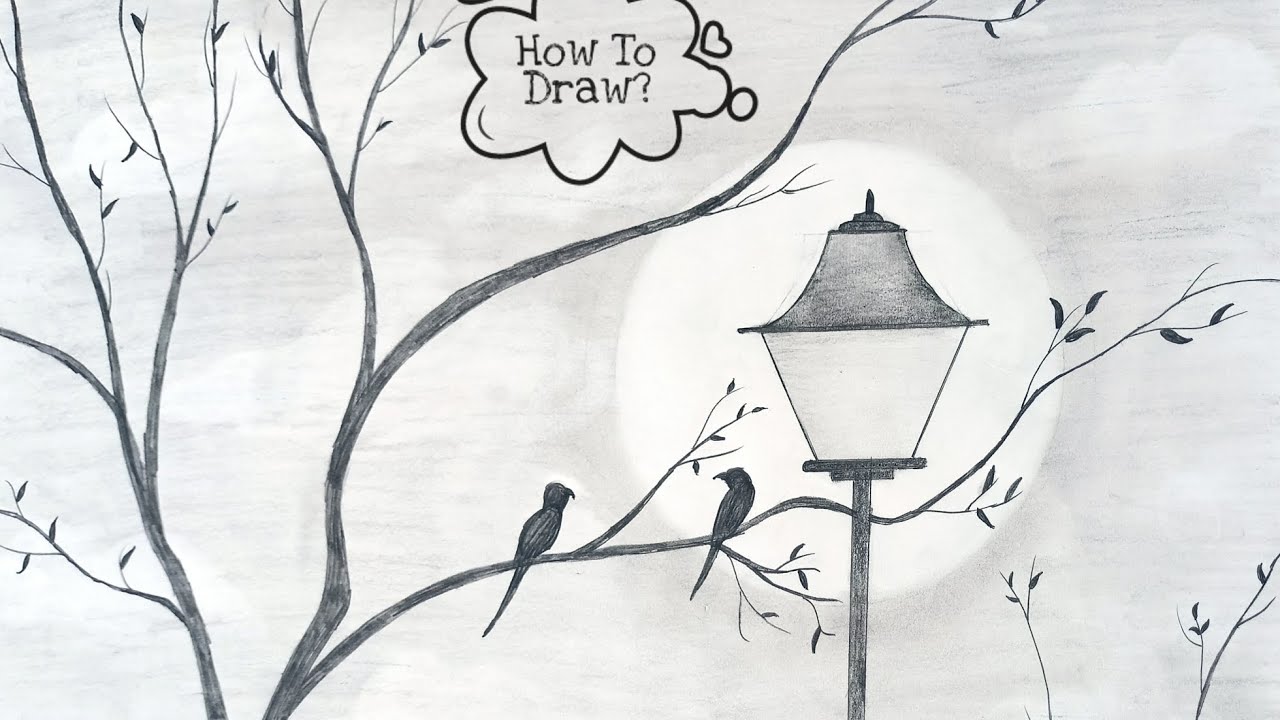 How to Draw Scenery of Moonlight Night by pencil , Birds and Trees ...