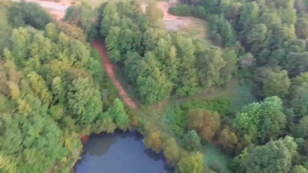 Elmo Virginia. My happy place... - YouTube