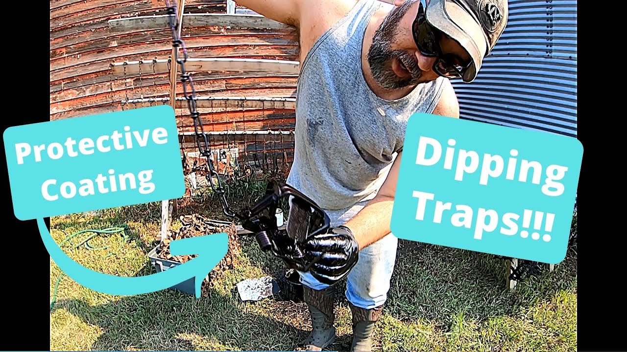 In The Fur Shed - Dipping Traps - YouTube