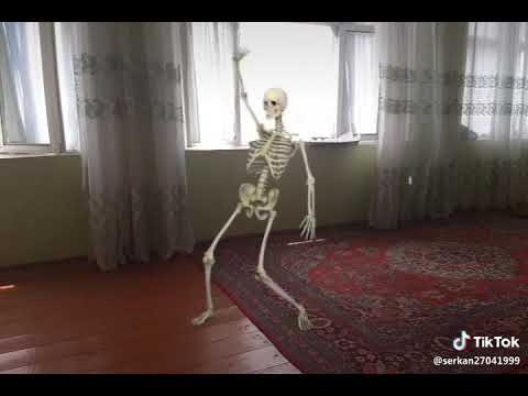 Tiktok mene bir ömür besti