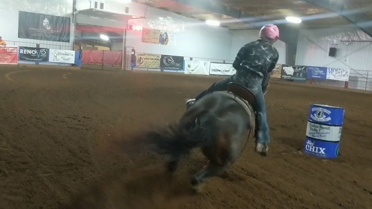 6/26/20 Miley and Copper running 1D at Double F Arena(1) - YouTube