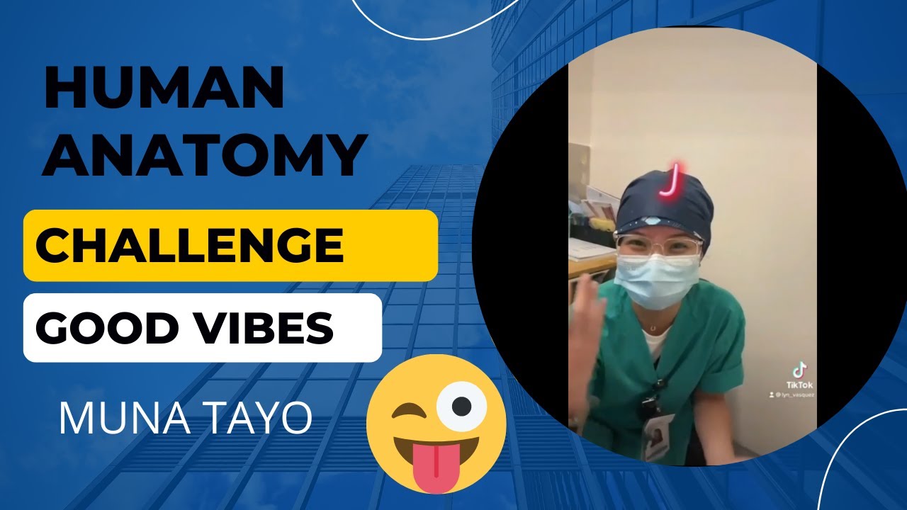 " HUMAN ANATOMY CHALLENGE " - YouTube