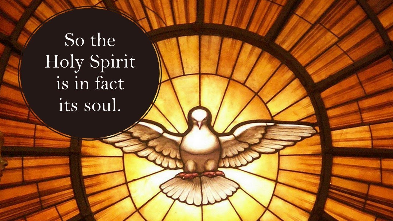 The Holy Spirit, soul of the Church and of the world - YouTube