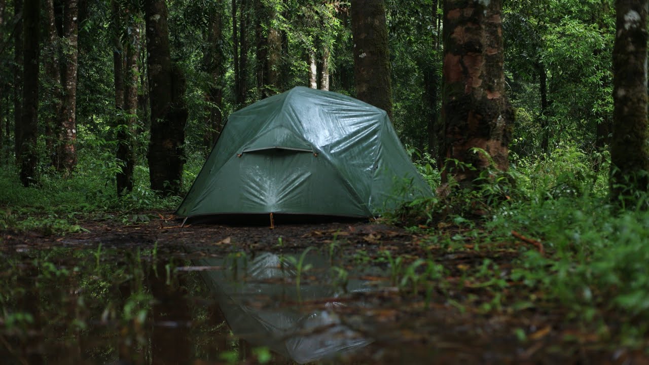 Solo Camping In The Rain • Camping In The Rainforest With A Comfortable ...