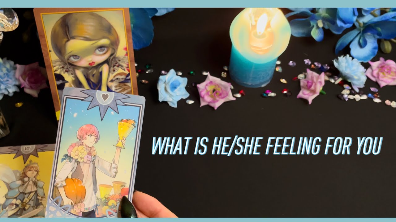 WHAT IS HE/SHE FEELING FOR YOU💖DAILY CHECK IN - YouTube