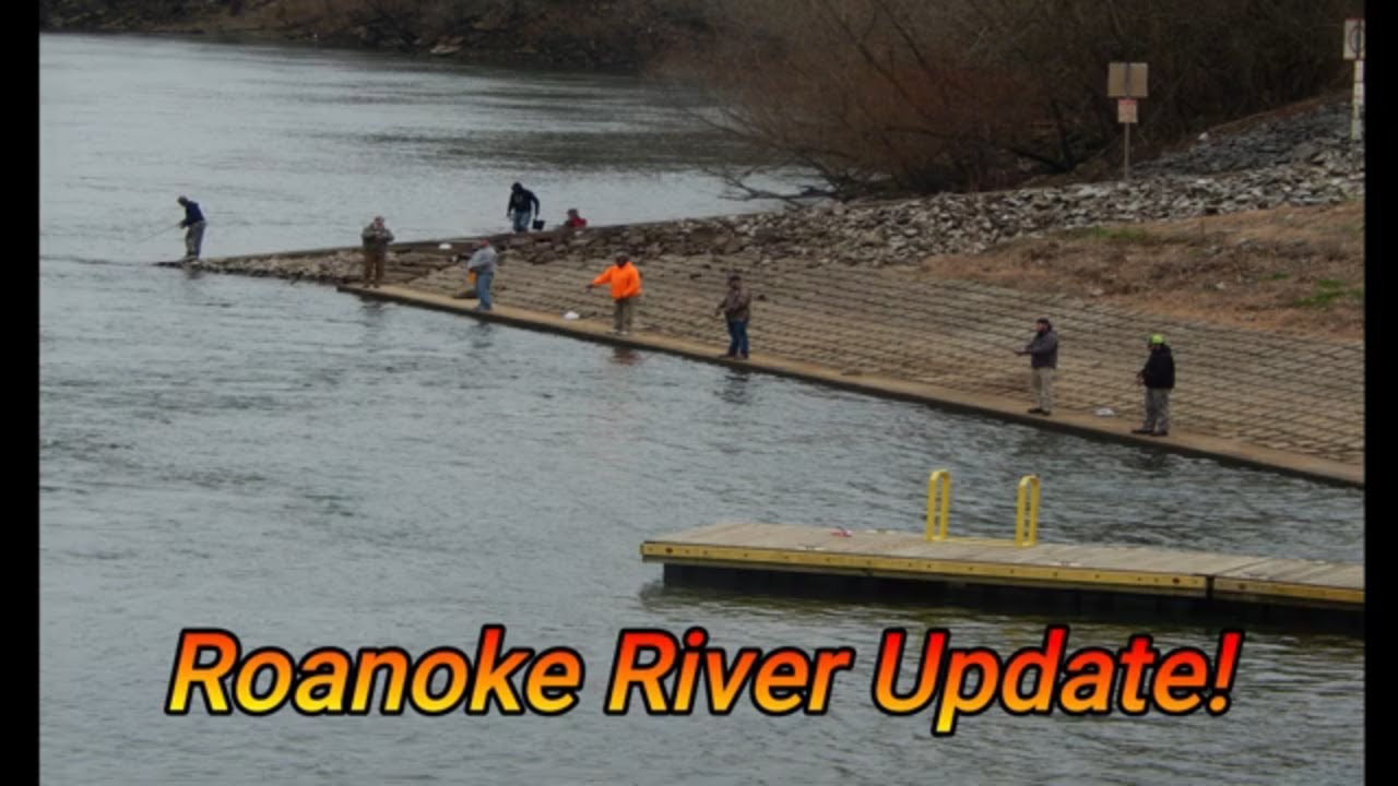SHAD FISHING & NC WILDLIFE INTERVIEW, MARCH 11TH, 2020. RIVER AT 5000 ...