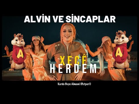 XECA HERDEM - KURDO BUYE ALMANİ | ALVİN VE SİNCAPLAR
