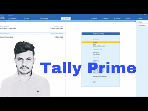 Company Create in Tally Prime|Ledgers and Groups Creation|| - YouTube
