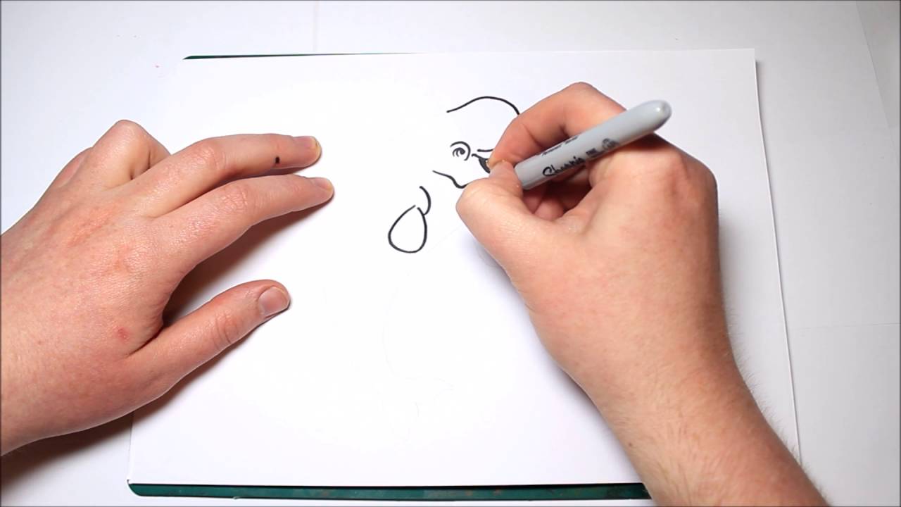 Easy How To Draw Bailey From Finding Dory For Kids - YouTube