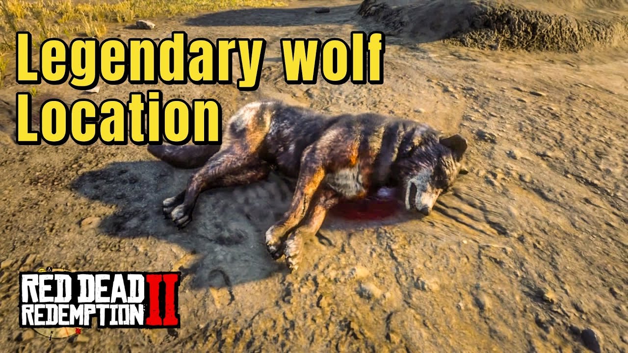 Legendary black wolf location | Red dead redemption 2 - YouTube