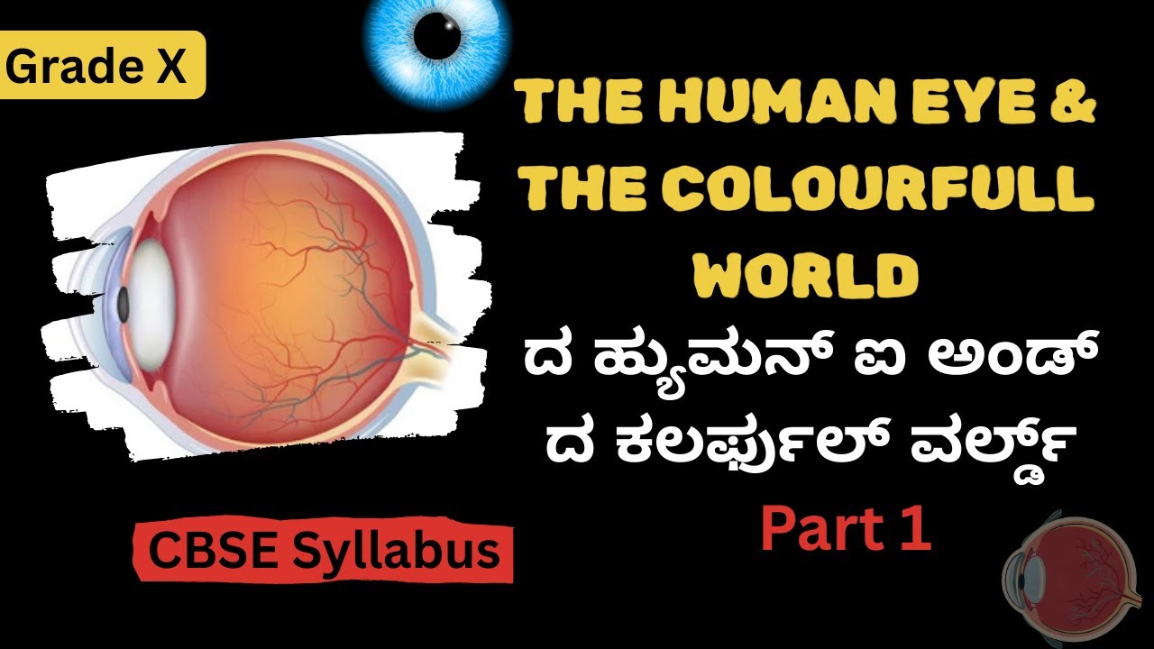 👁️THE HUMAN EYE & THE COLOURFULL WORLD | Physics| Part 1 | ️Function of ...