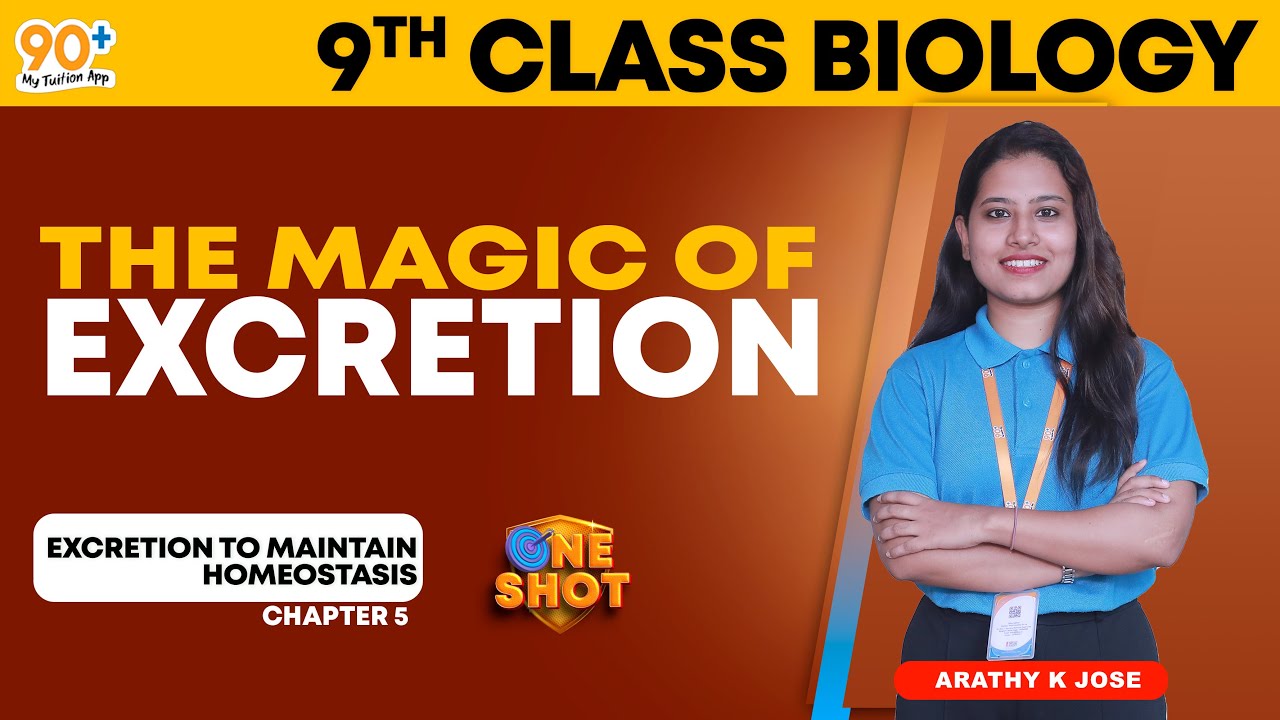 The magic of excretion | Excretion to maintain homeostasis | 9th state ...