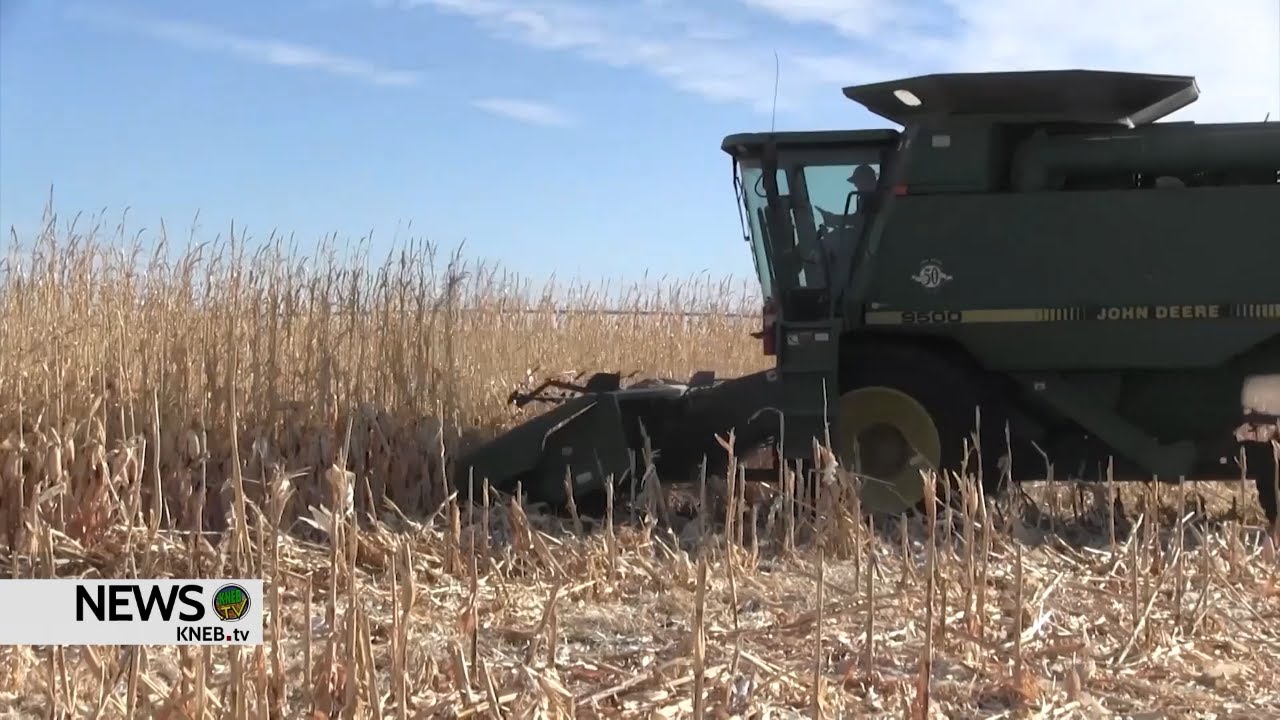 Farm Revenue Expected to Have Record Setting Drop in 2024 - YouTube