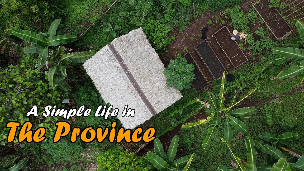 Simpleng snack sa Bukid "MARUYA" | Inayos ko ang Garden | Life in ...