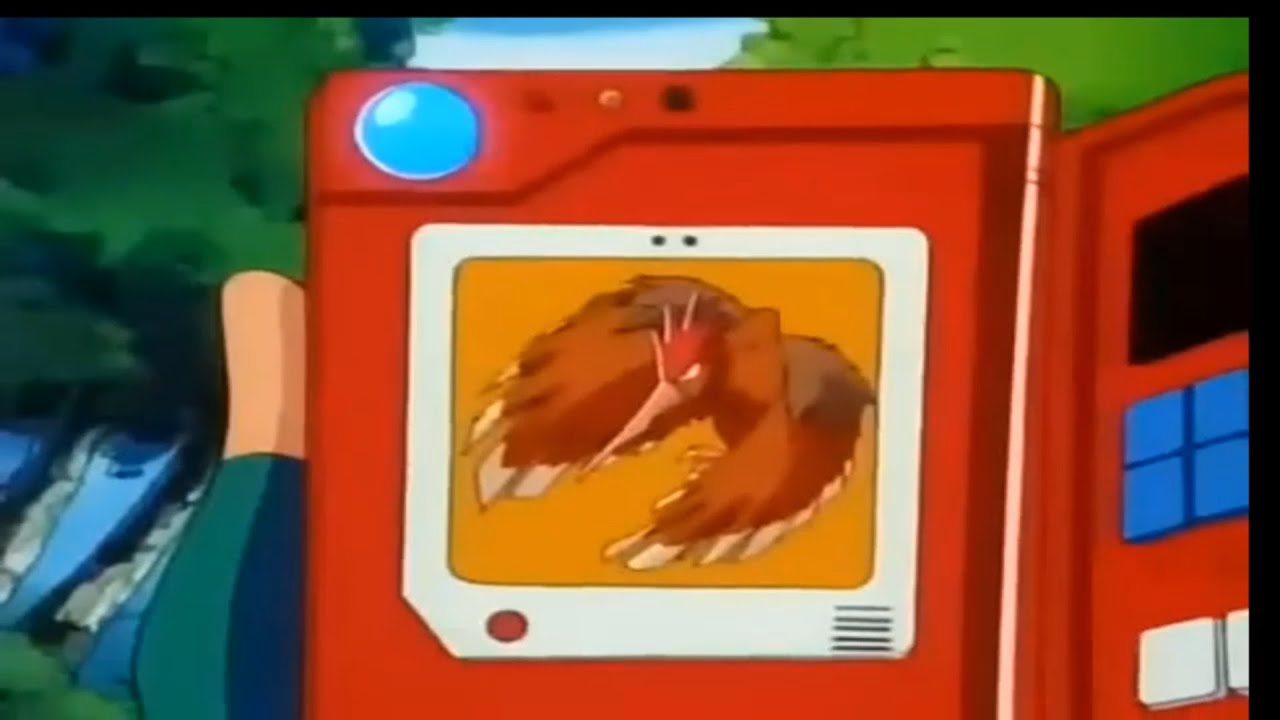 pokedex #022 Fearow - YouTube
