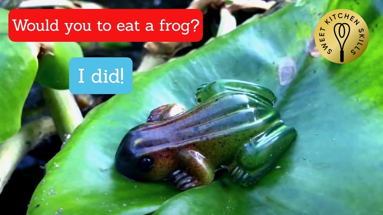 Toad Eating Memes