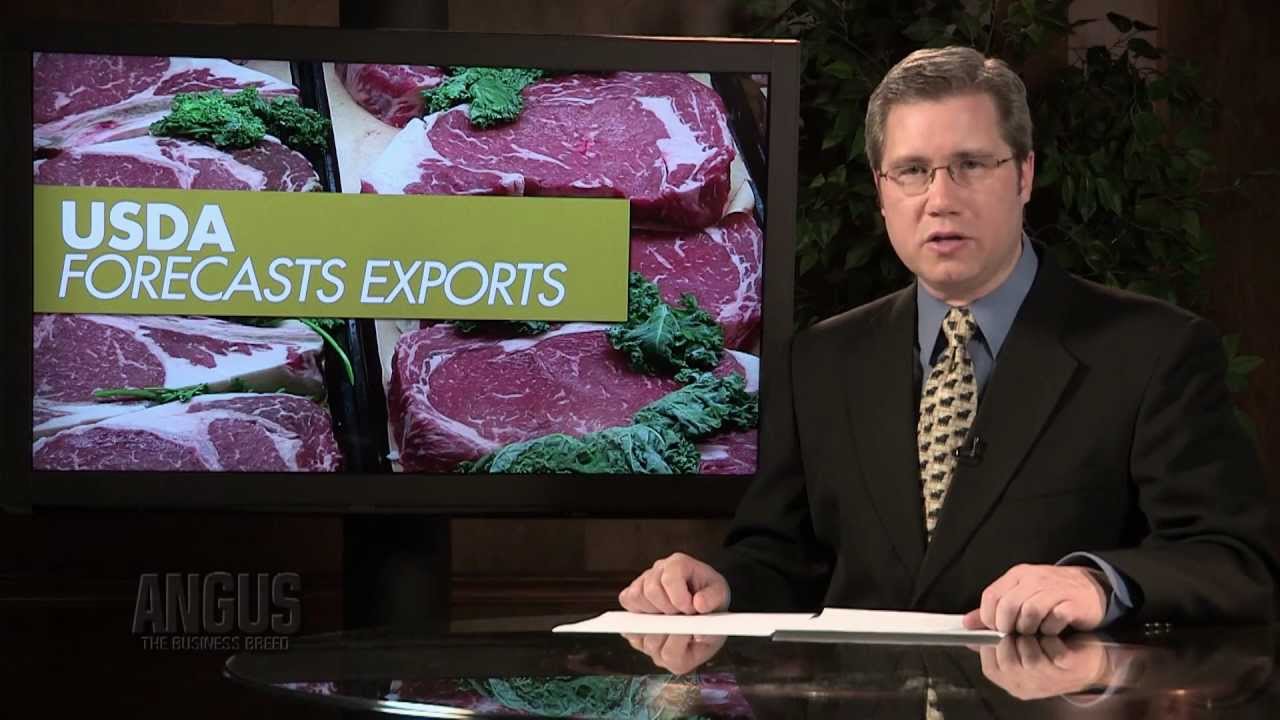 The Angus Report, Dec. 10, 2012: Top News - YouTube