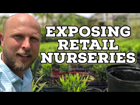 Where Can I Order Perennials Online