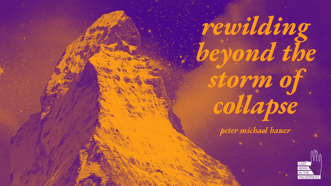 Peter Michael Bauer: Rewilding Beyond The Storm Of Collapse - YouTube