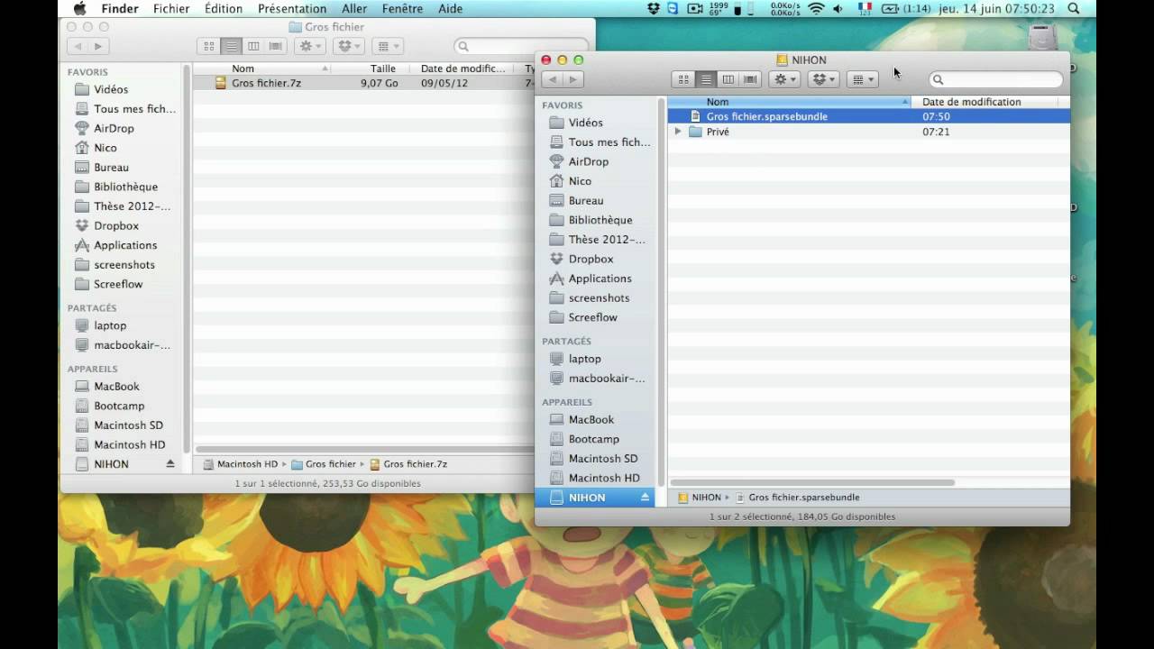 Copy a file which is more than 4 Go / Gb onto a FAT32 hard drive with ...
