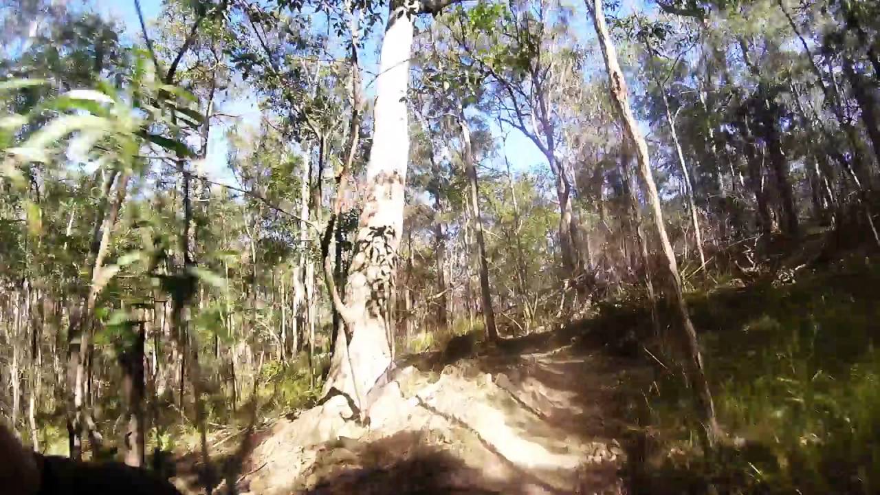 Nerang National Park MTB - YouTube