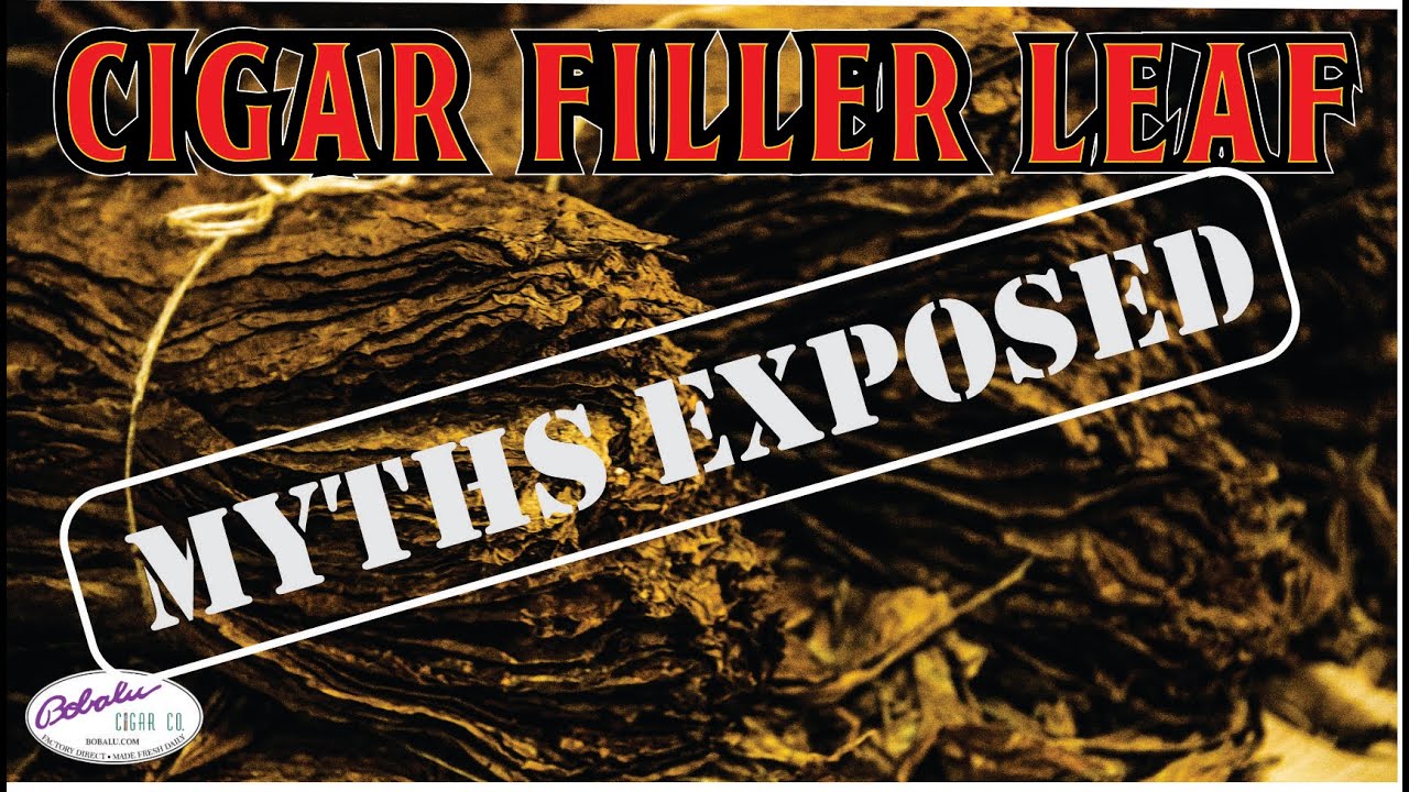 Cigar filler leaf myths explained - YouTube