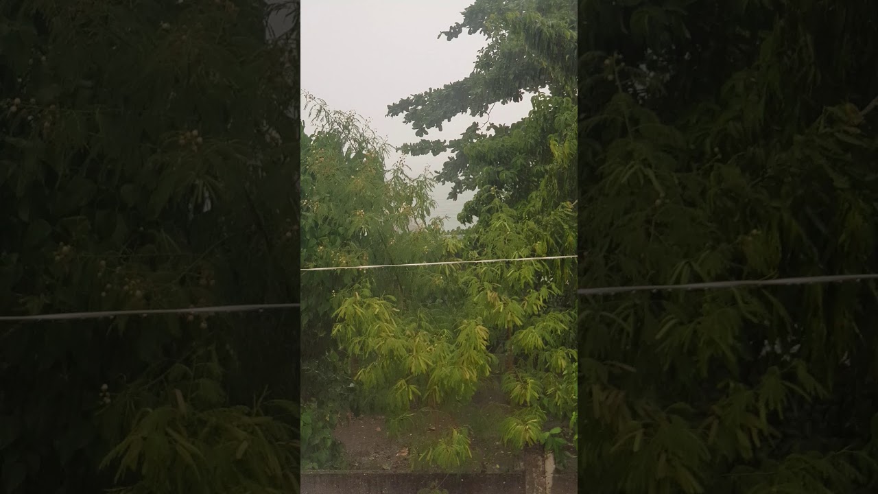 Raining day in Talalora samar philippine - YouTube