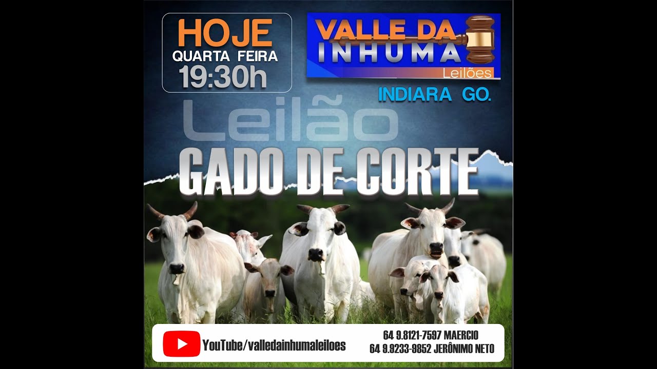 Indiara - GO 14/08/2024. - YouTube