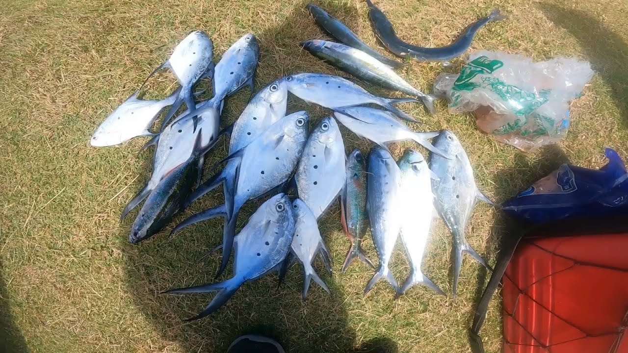 I didn’t expect this catch|| banzai cliff saipan. Fishing w/Than and ...