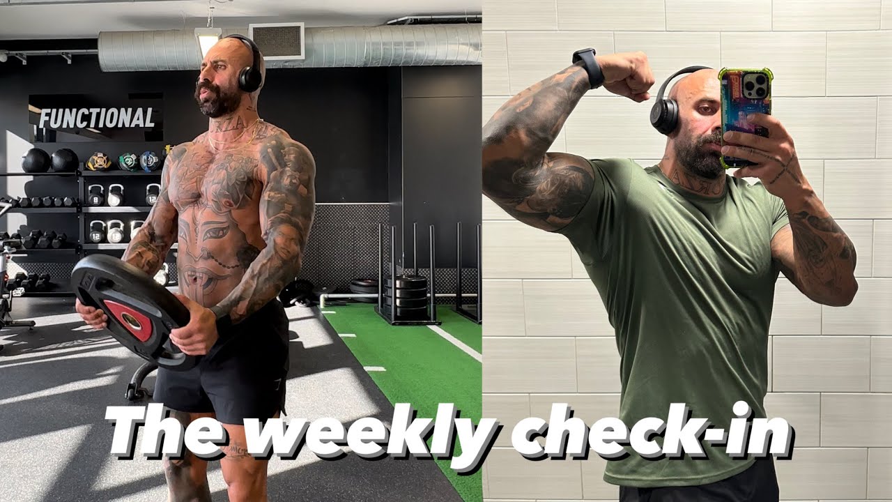 The weekly check-in, week 25, bulking stage, fat loss journey, wellness ...