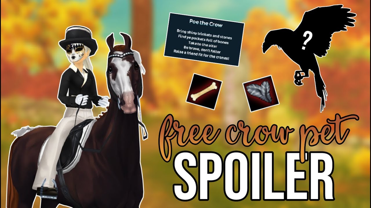 Spoiler FREE Crow pet! - YouTube