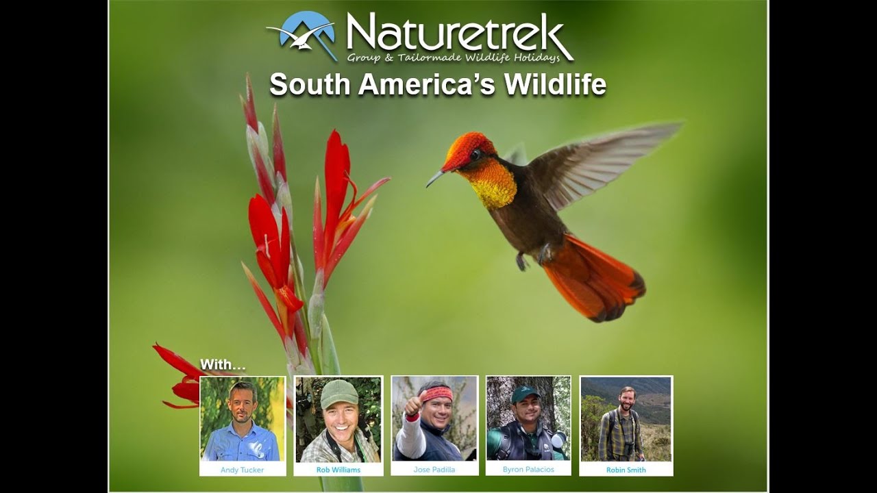 Naturetrek Roadshow: South America's Wildlife (Peru, Ecuador and ...