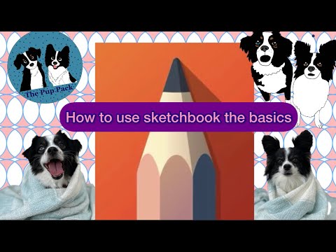 How to use sketchbook the basics - YouTube