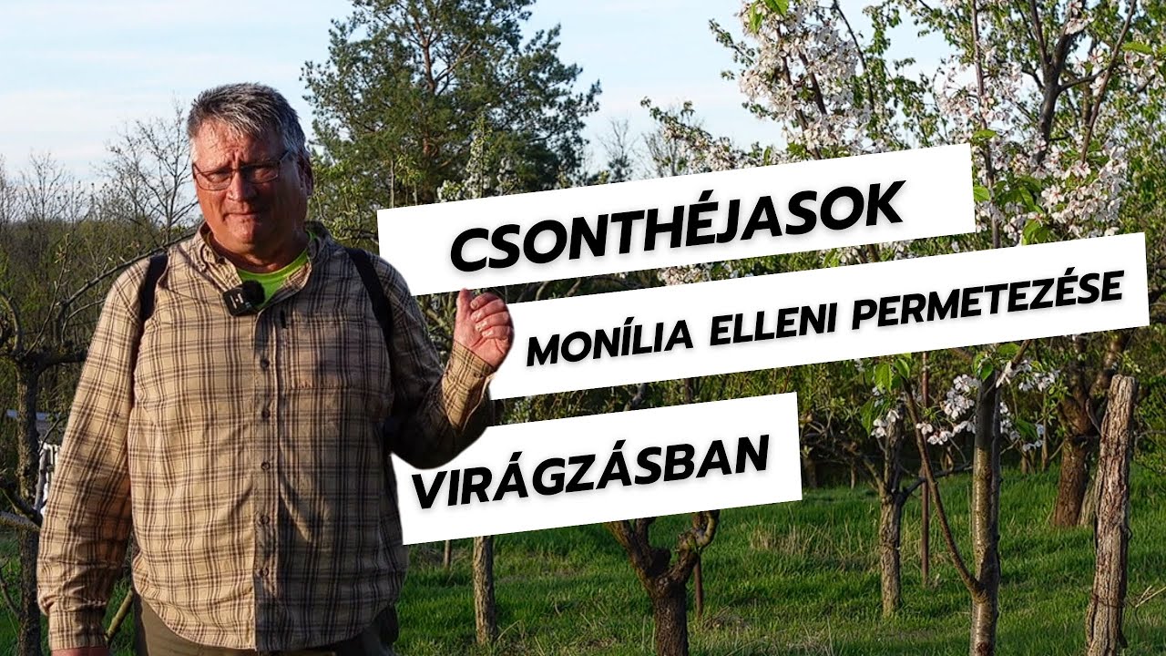 A csonthéjasok monília elleni permetezése virágzásban 🌳 - YouTube