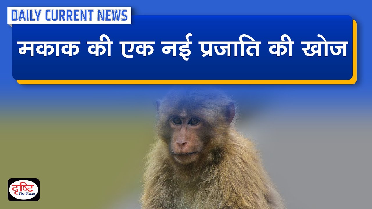 New Macaque Species Discovered– Daily Current News I Drishti IAS - YouTube