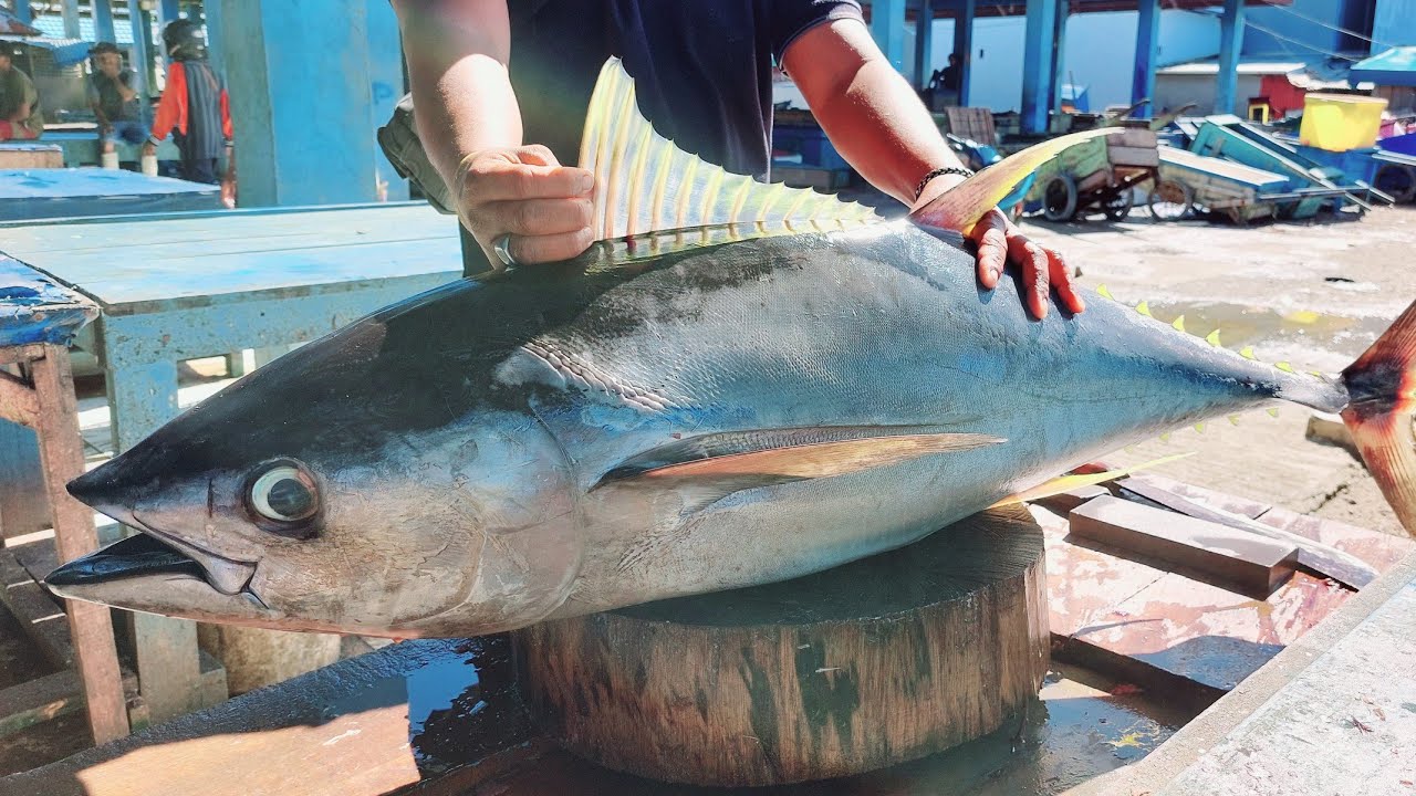 Amazing Skill Bro Adi Bakri Cutting Yellowfin Tuna Ordered by Mrs. Dewi ...