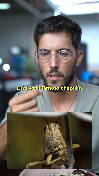 Tlayuda Con Chapulines 🦗🦗oaxaca Oaxaca Comidacallejera Comidamexicana Mexico Mexicanfood