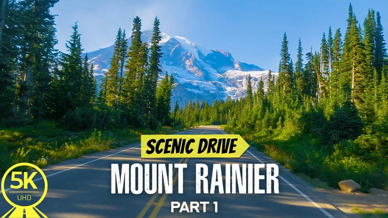 Exploring Scenic Roads of Mount Rainier NP – 3,5HRS Best Virtual ...