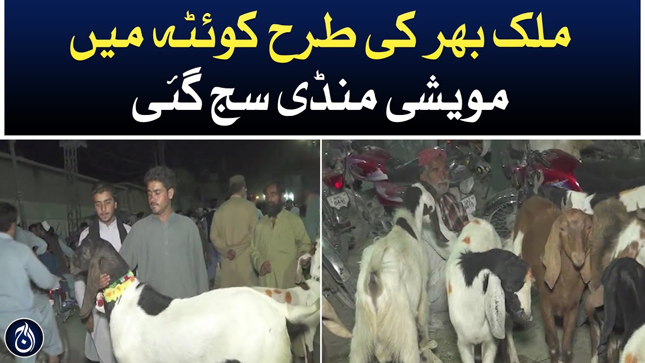 Like the rest of the country, cattle market was organized in Quetta ...