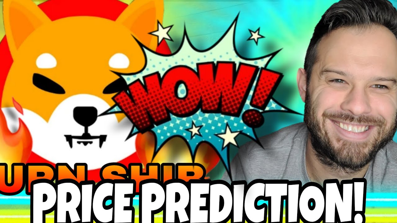 Shiba Inu Coin | New SHIB Price Predictions Following Bullish Reversal ...