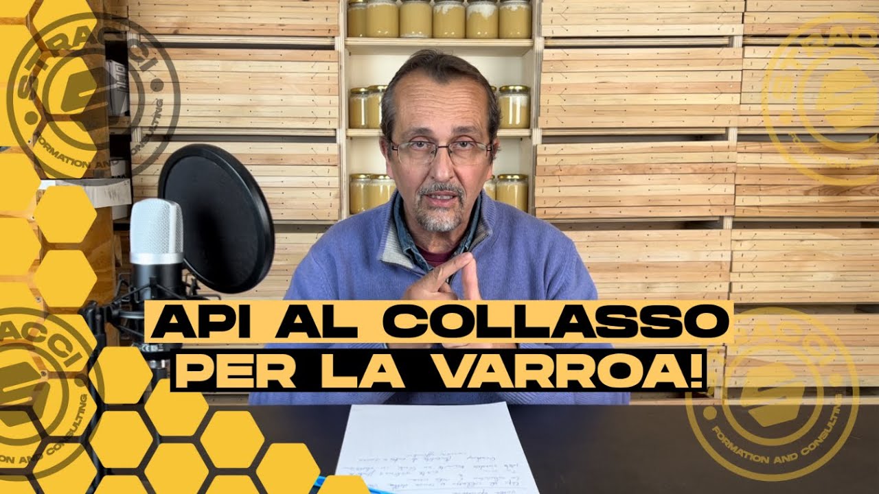 API AL COLLASSO per la Varroa, la soluzione è solo una! - YouTube