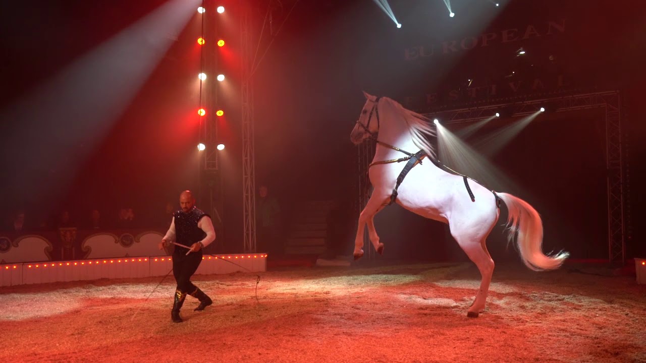 LE SPECTACLE COMPLET ...EUROPEAN CIRCUS de STEFAN AGNESSEN 4 janvier ...
