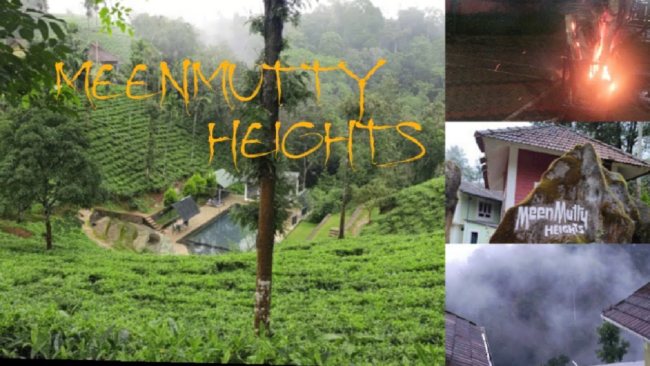 Meenmutty Heights Resort | വയനാട്ടിലെ ഒരു കിടിലൻ resort #travel # ...