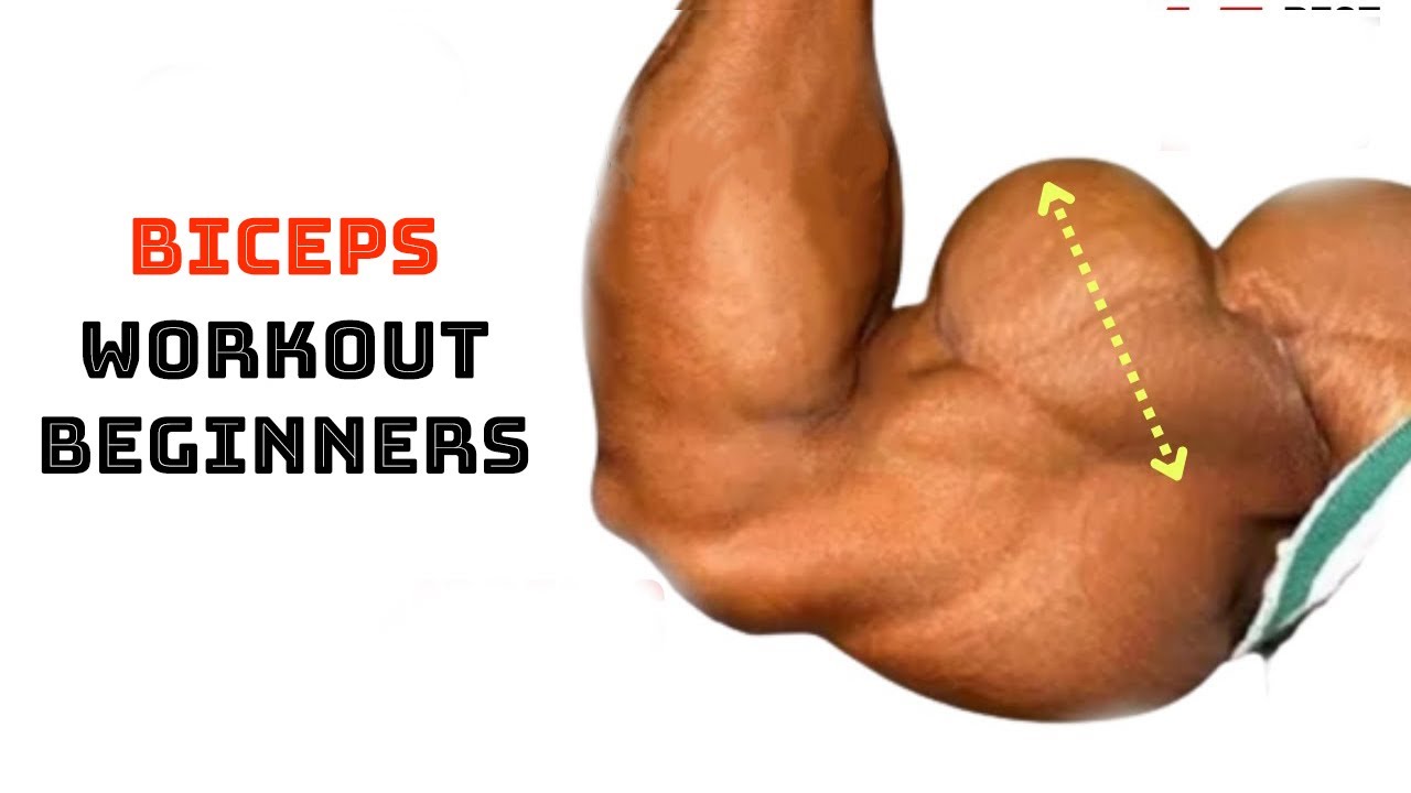 Biceps Workouts (Basics) For Beginners By @shubhamkuchankar - YouTube