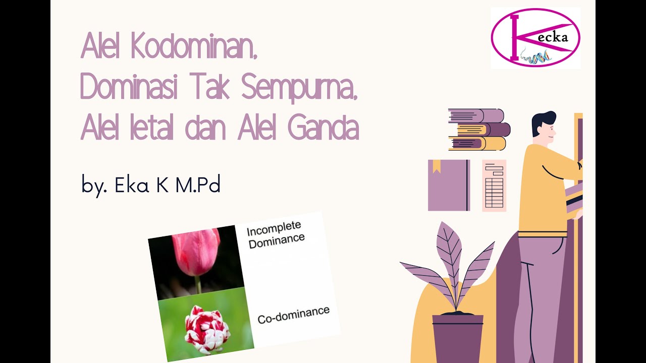 Alel kodominan, dominansi tak sempurna, gen letak dan alel ganda - YouTube