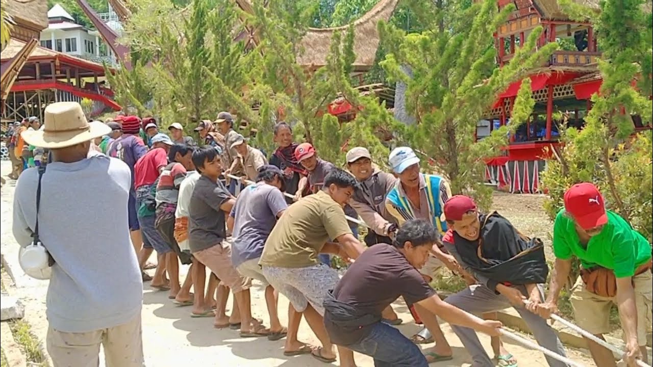 Mangriu' batu [Menarik batu menhir] persiapan upacara rambu solo ...