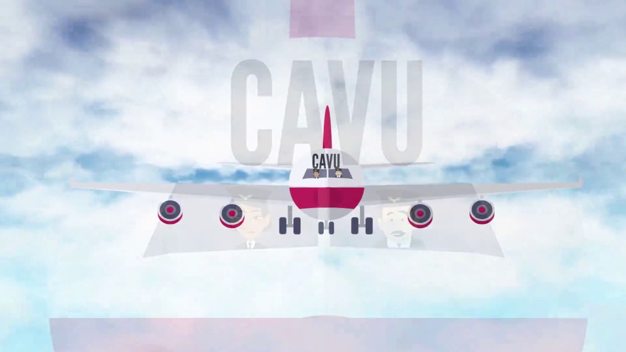 Plane Flight Pilot - CAVU - YouTube